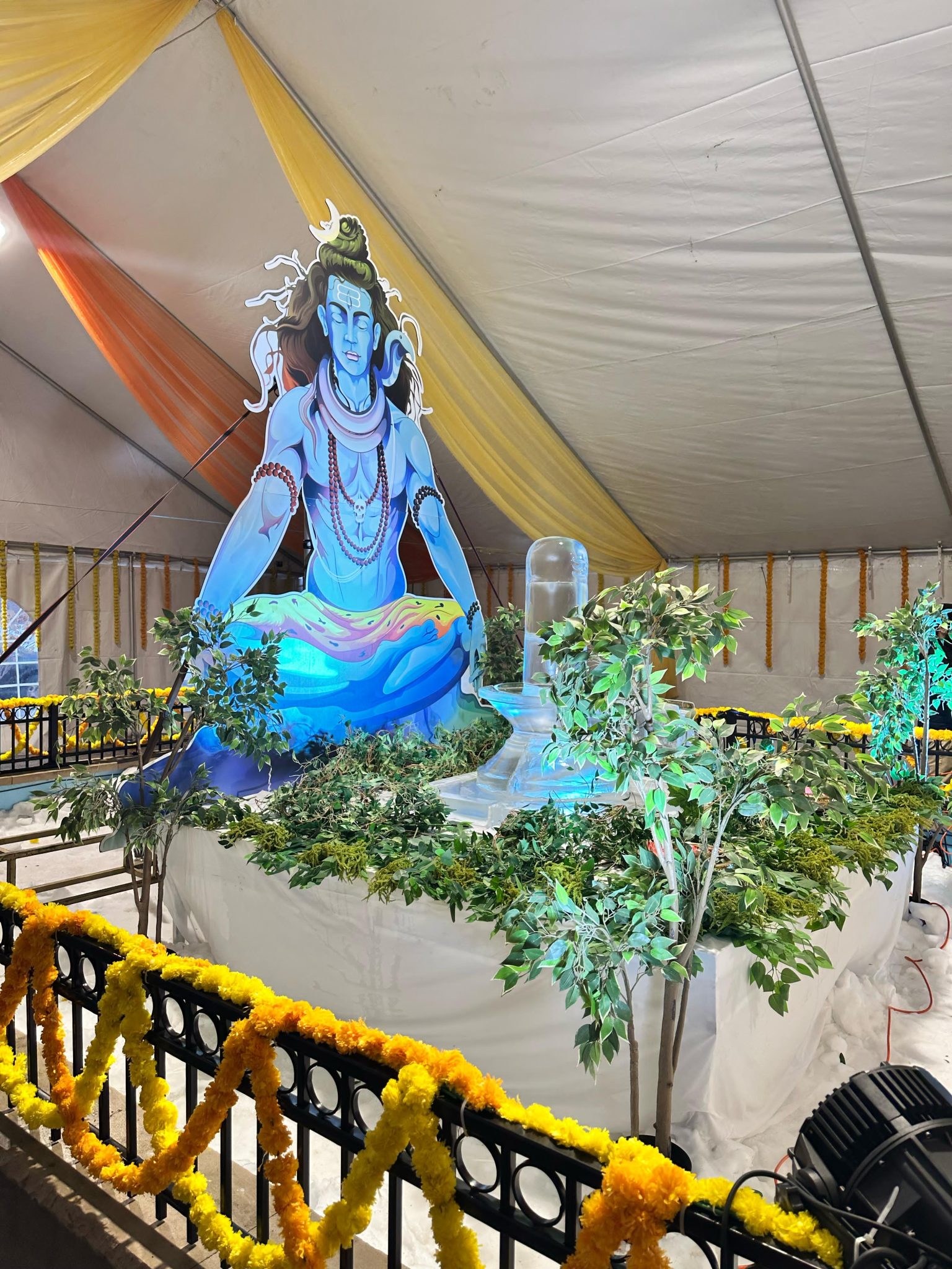 Grand Maha Shivratri Celebrations at Hindu Sabha Temple in Brampton ...